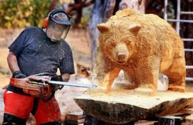 How to Carve a Bear With a Chainsaw (Step By Step Guide)